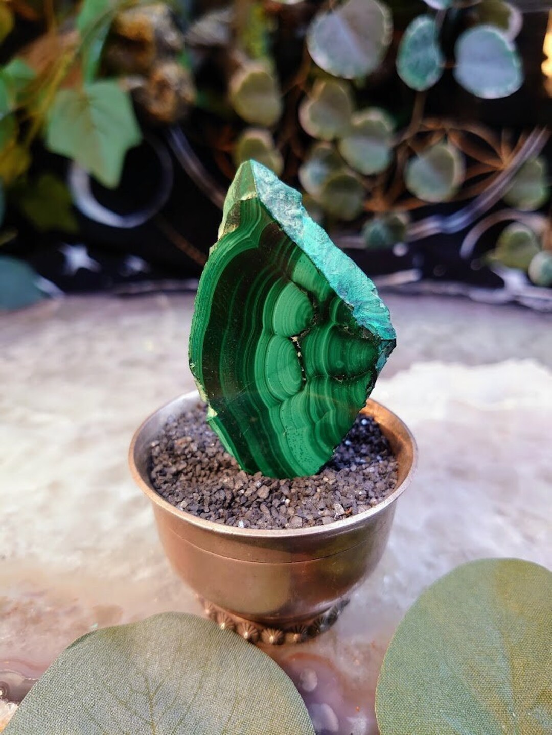 Small Malachite Polished Slice From Kasompe, Congo for Home and Altar ...