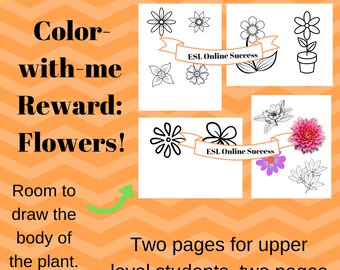 Vipkid Reward System - Etsy