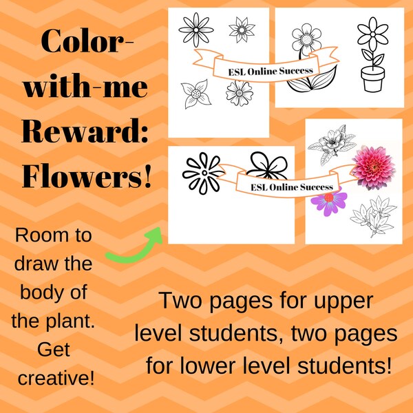 Vipkid Reward System - Etsy