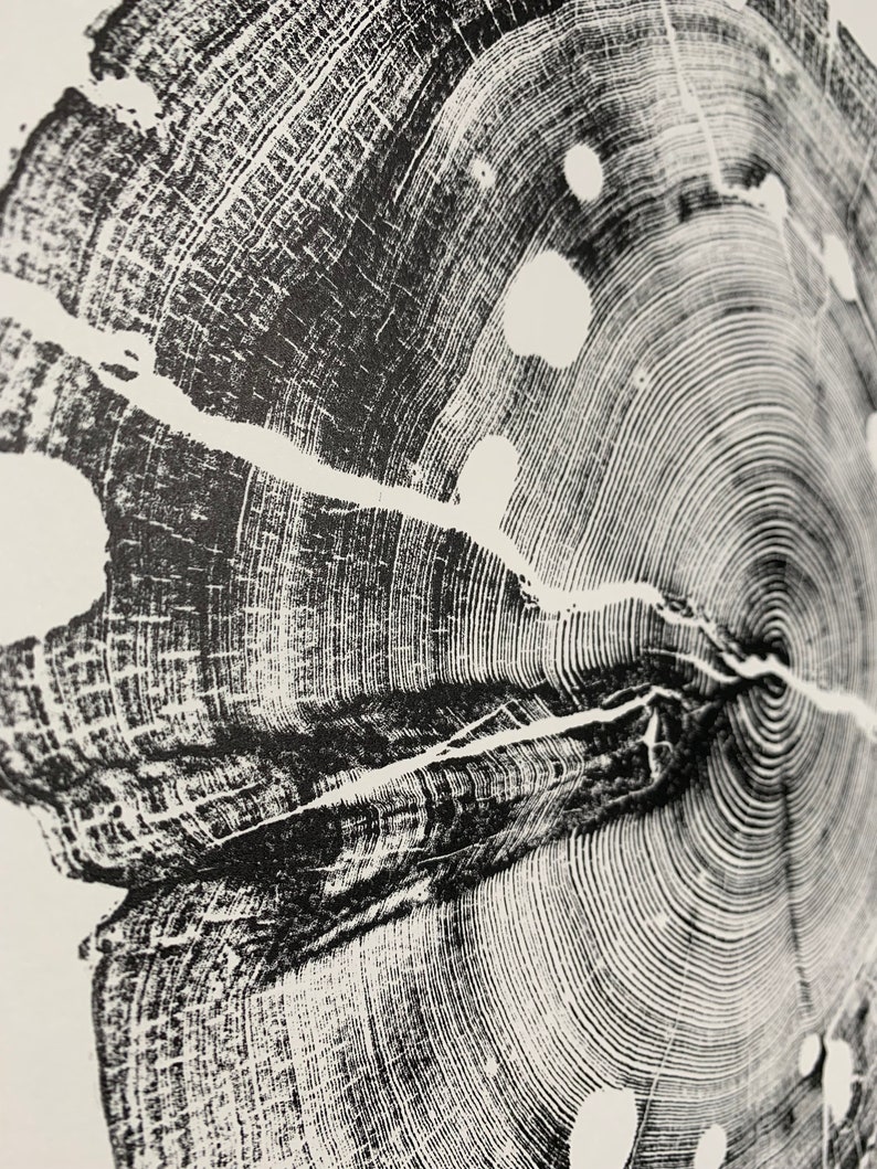 Wood Art, Tree Ring Print, Handmade - Etsy