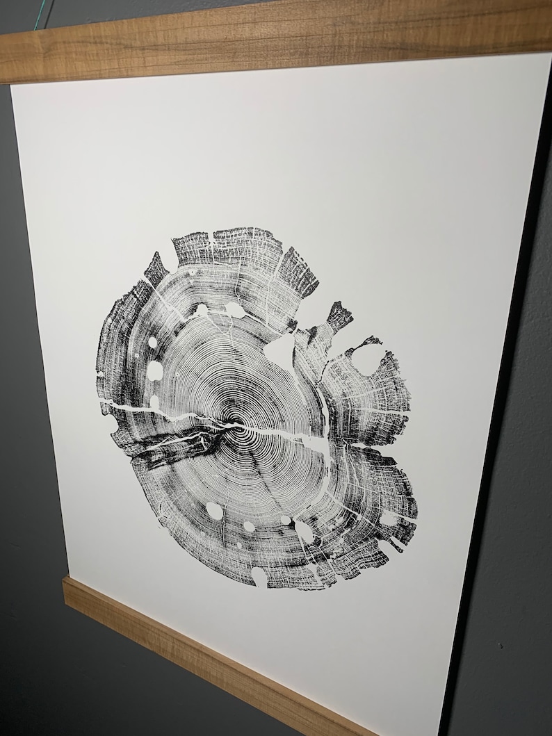 Wood Art Tree Ring Print Handmade | Etsy