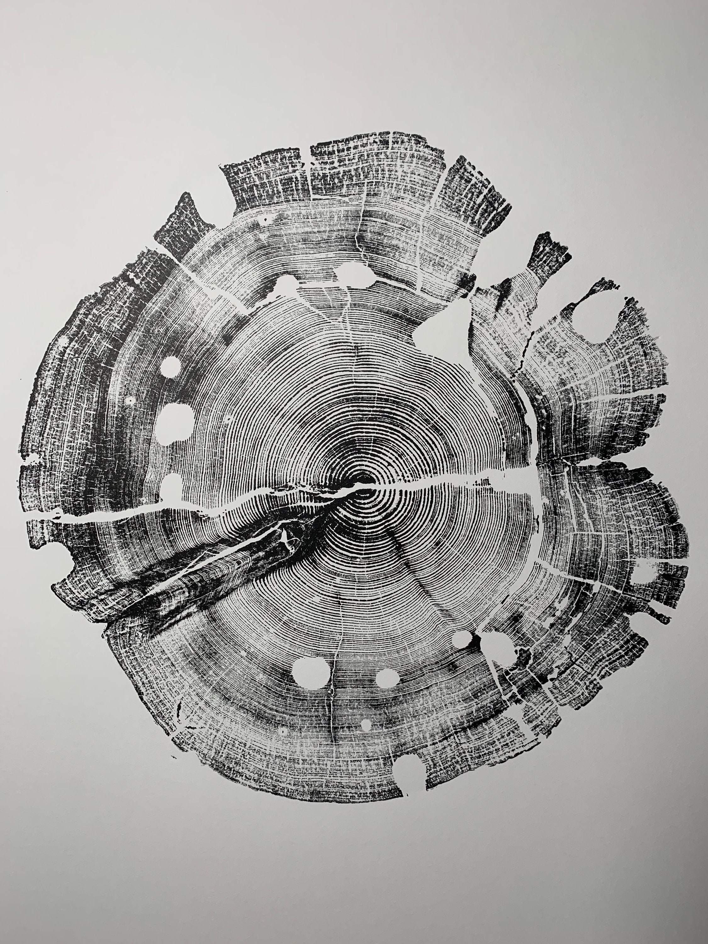 Wood Art, Tree Ring Print, Handmade - Etsy