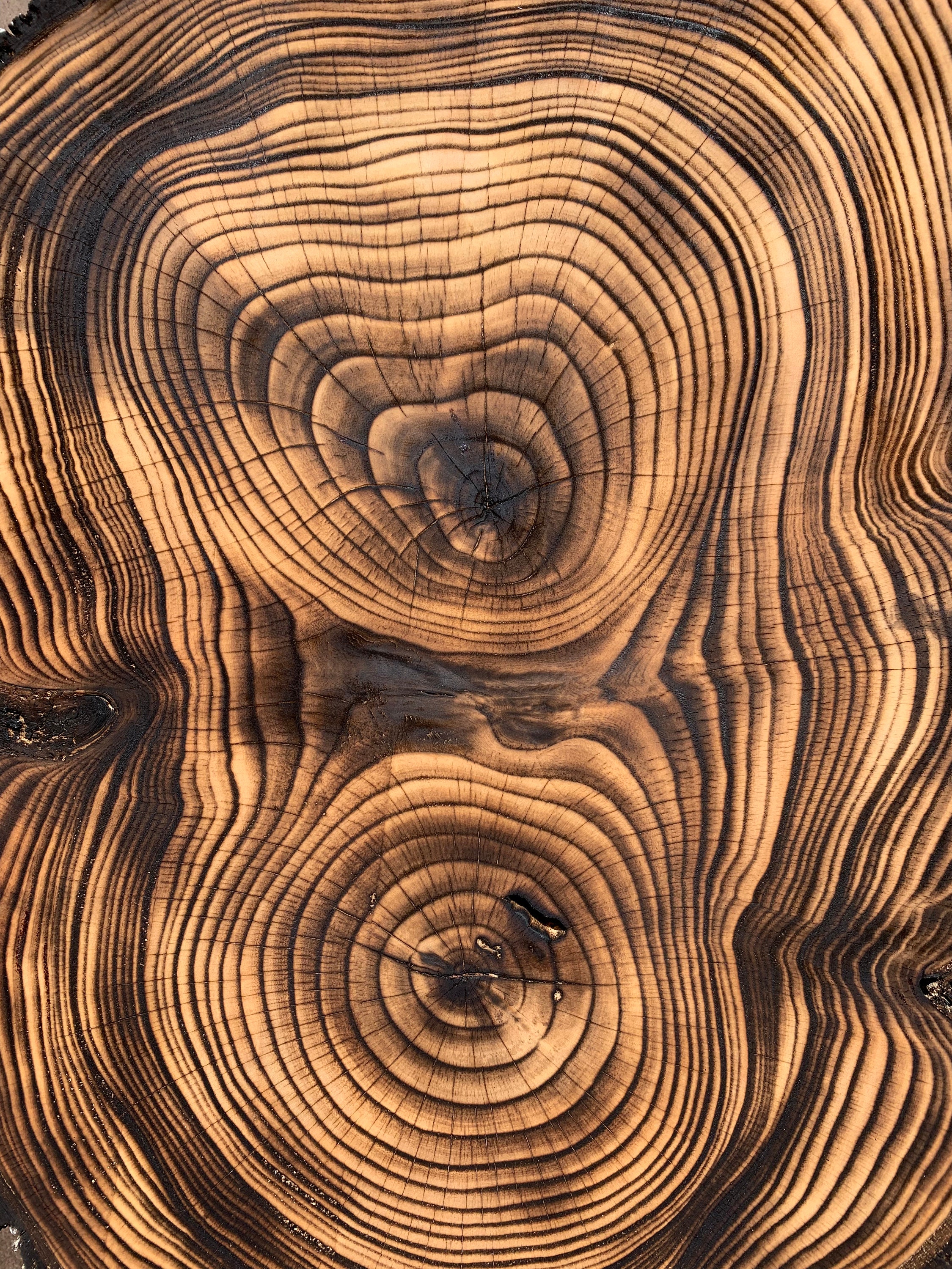 Ash Wood Tree Ring Wall Art Handmade Original Signed Piece. | Etsy