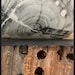 Wood Art, Tree Ring Print, Handmade - Etsy