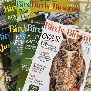 Playbirds Magazine - Etsy UK