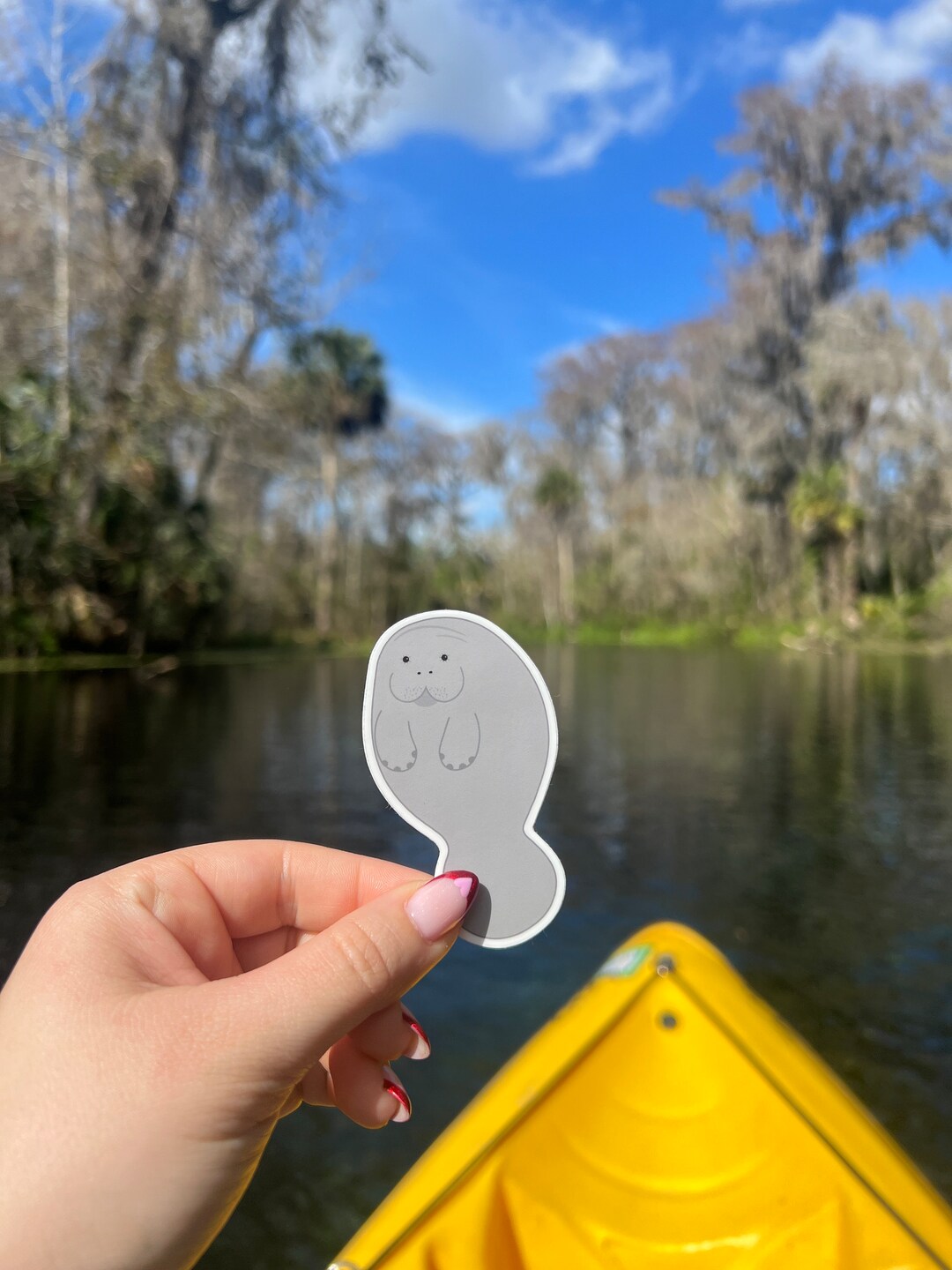 Manatee Sticker - Vinyl Sticker, Manatees, Florida Animals - Etsy