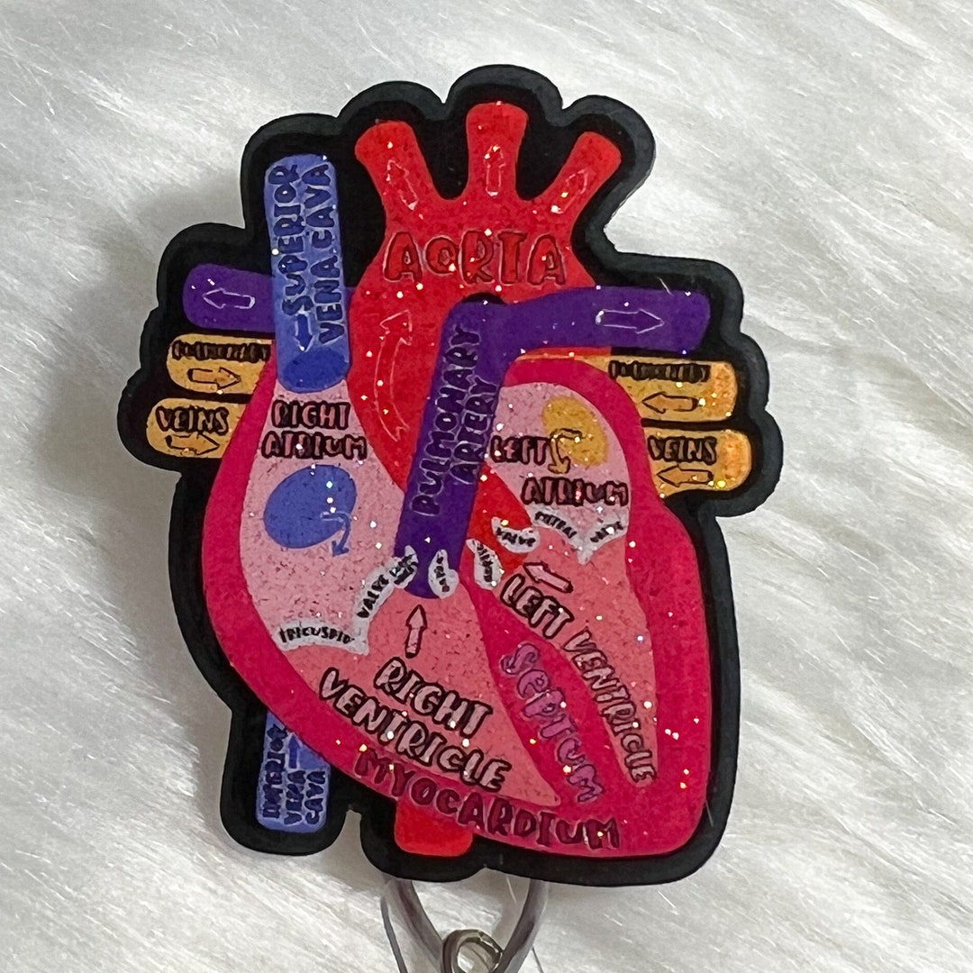 Labeled Anatomical Heart Badge Reel, Heart Badge Reel, Glitter Badge ...