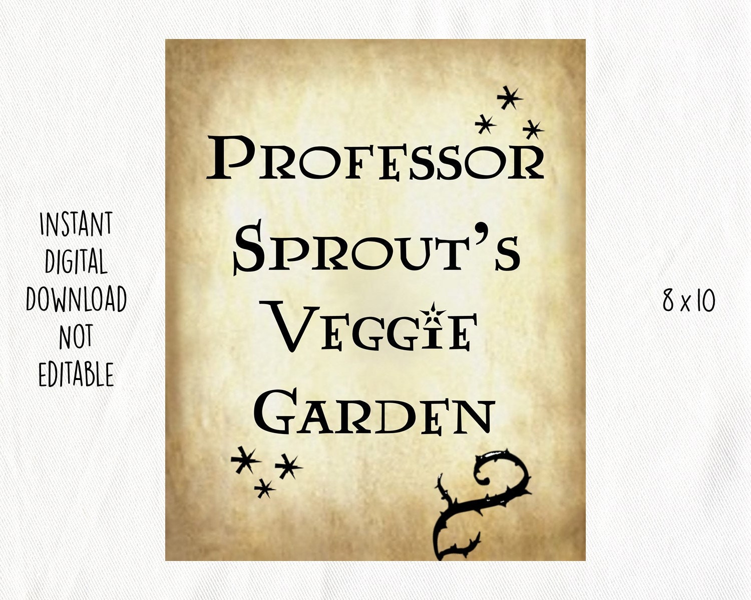 Wizard Professor Sprout 8x10 Instant Digital Download Not | Etsy