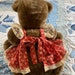 Handcrafted Brown Plush Bear With Moveable Arms and Legs. Beige Paws ...