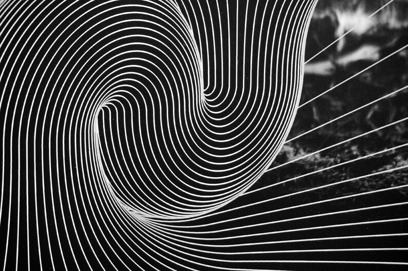 Fun Guy Fine Art Print - Etsy