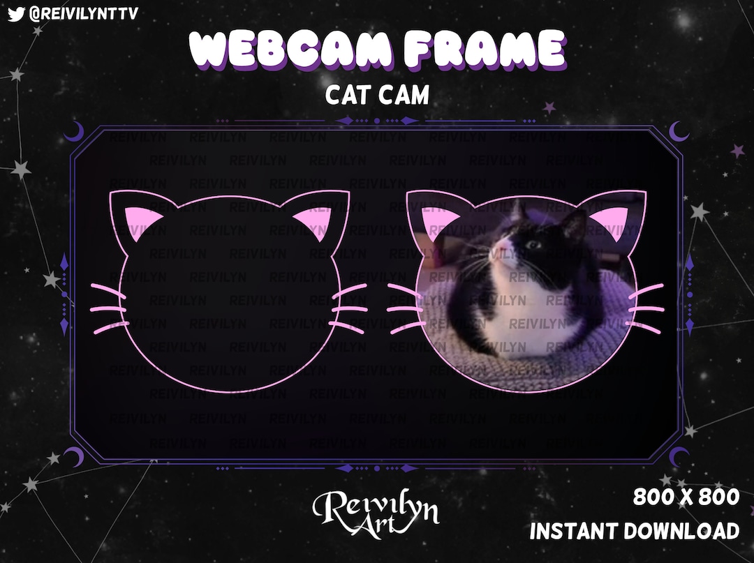 Cat Webcam Frame Petcam Catcam Overlay Pink Twitch INSTANT DOWNLOAD - Etsy