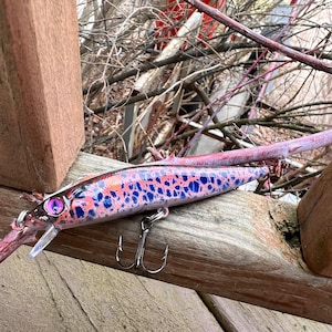 Custom Painted Fishing Lure Mystery Bag - Crankbait Swimbait Gift - Etsy