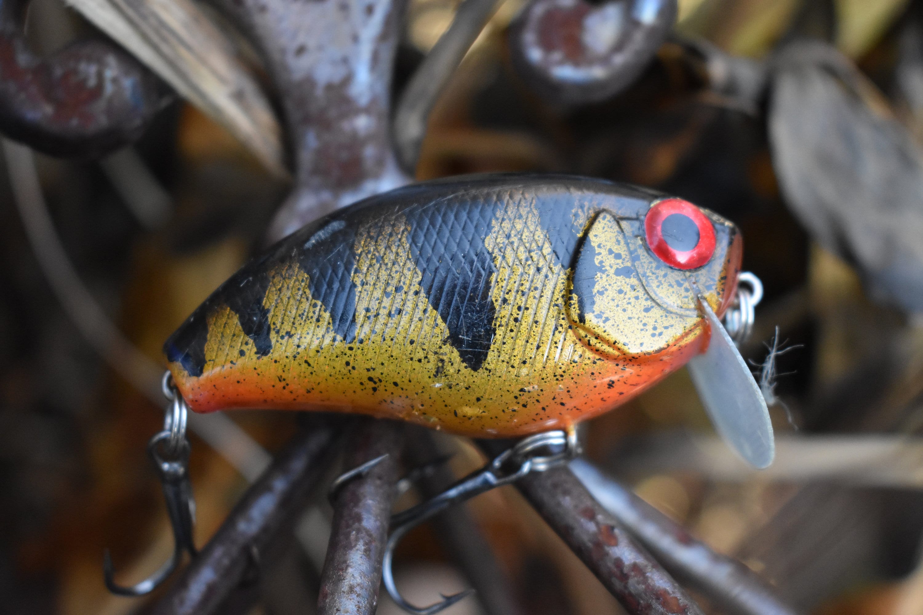 Howell Custom Lures Golden Perch Custom Painted Fishing Lure - Etsy