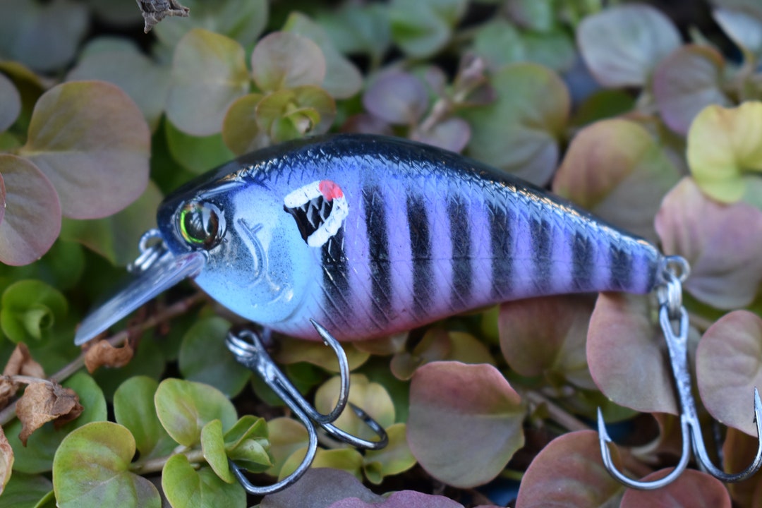 Howell Custom Lures - Purple Rain - Custom Painted Fishing Lure - Etsy