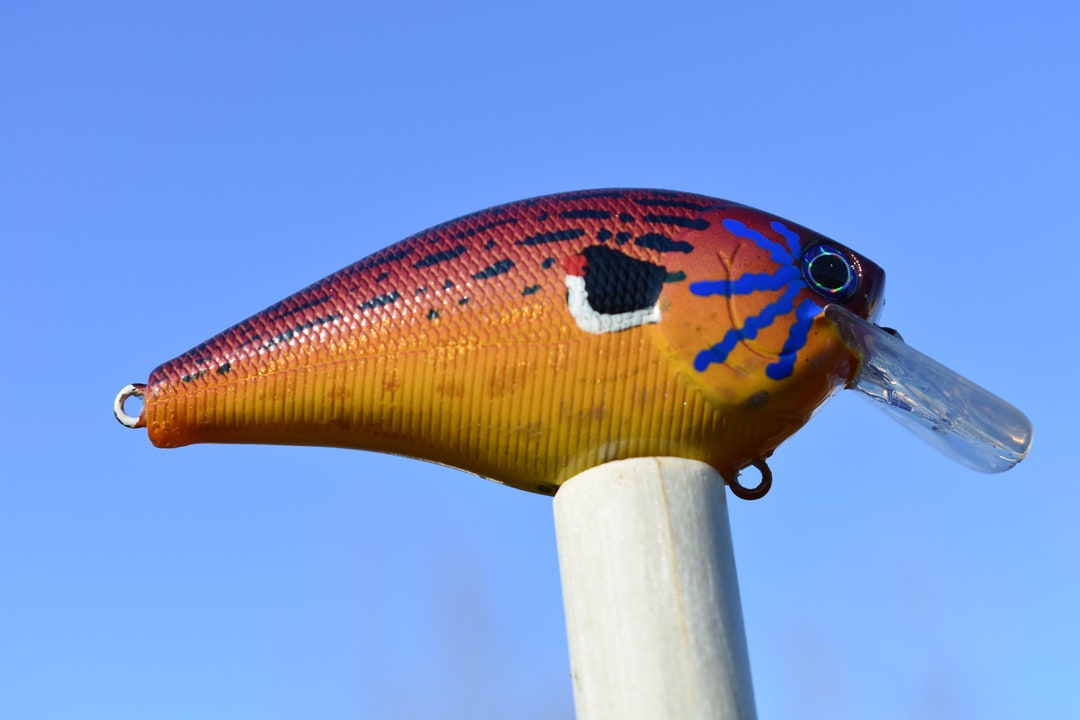 Custom Painted Fishing Lure: Yellow Rainbow Bait - Etsy