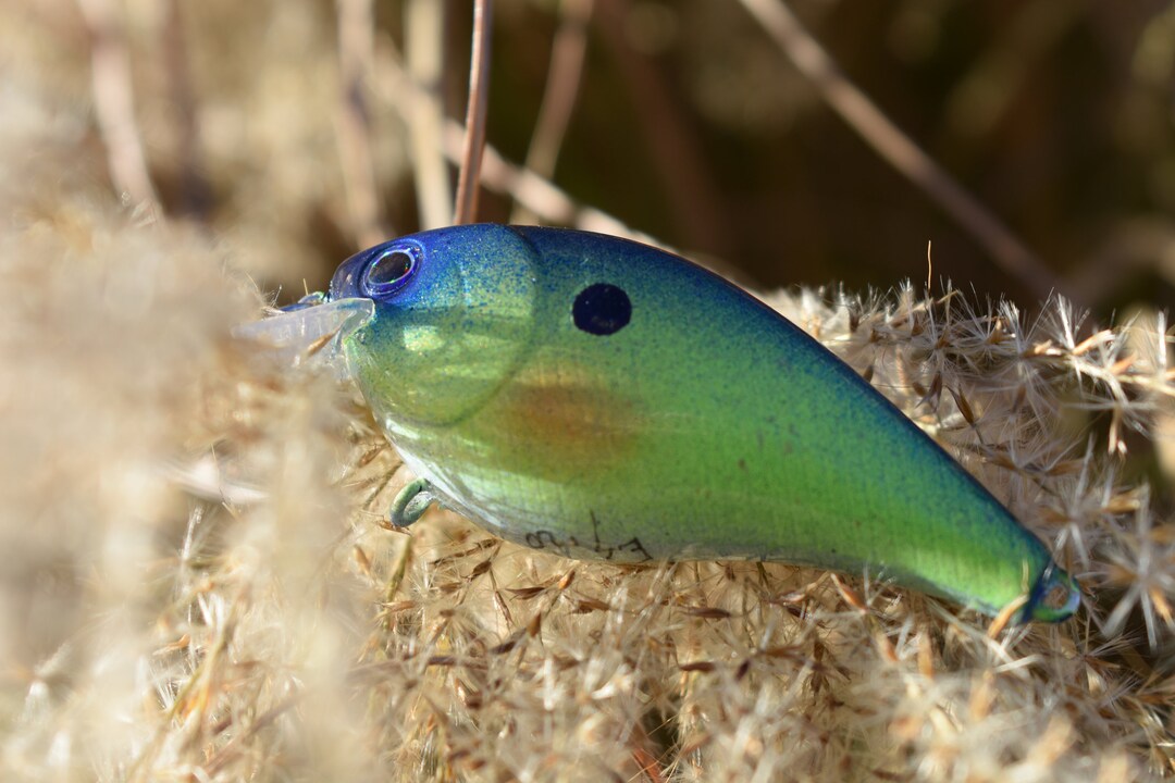 Howell Custom Lures - Chartreuse Shad - Custom Fishing Lure - Etsy