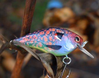Custom Painted Fishing Lures | Etsy