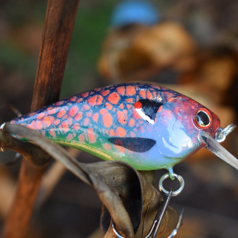 Custom Fishing Lure - Etsy