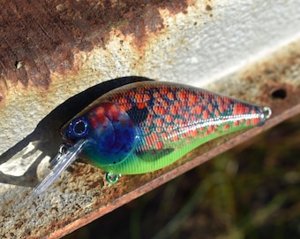 Custom Fishing Lure - Etsy