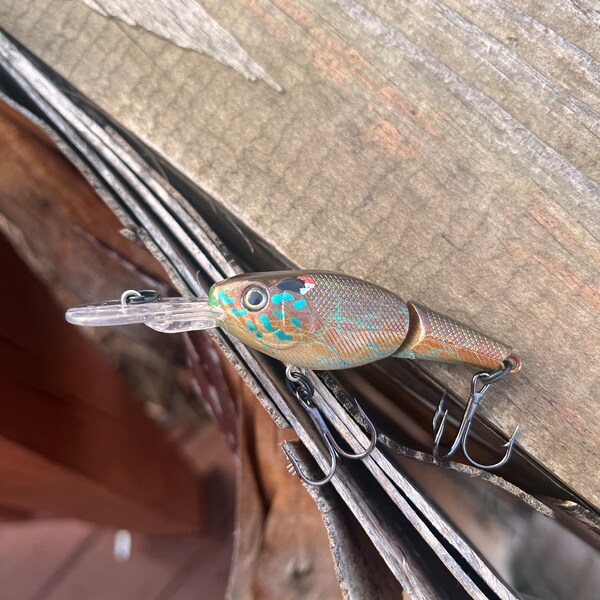 Custom Fishing Lure - Etsy