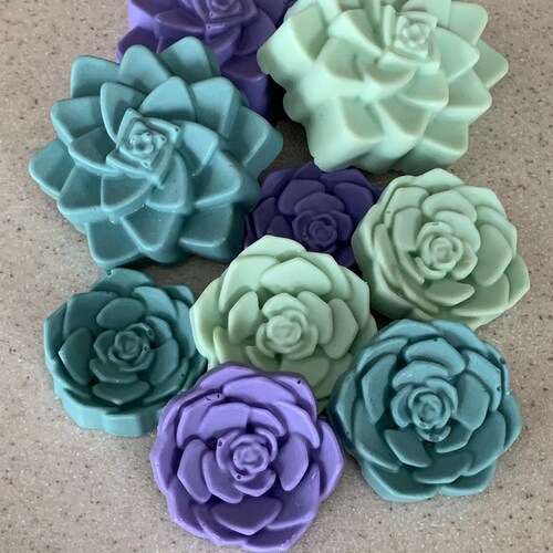 Succulent Soap | Etsy