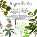 Anxietea Decaf - Tea for Anxiety - Tea for Stress - Calming Tea - Sleep ...