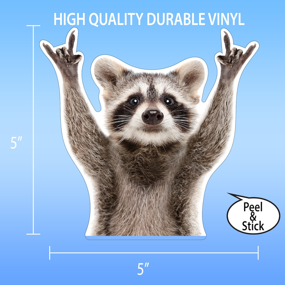 Rocking Raccoon Multi-surface Decal Weather-resistant Vinyl Sticker for ...