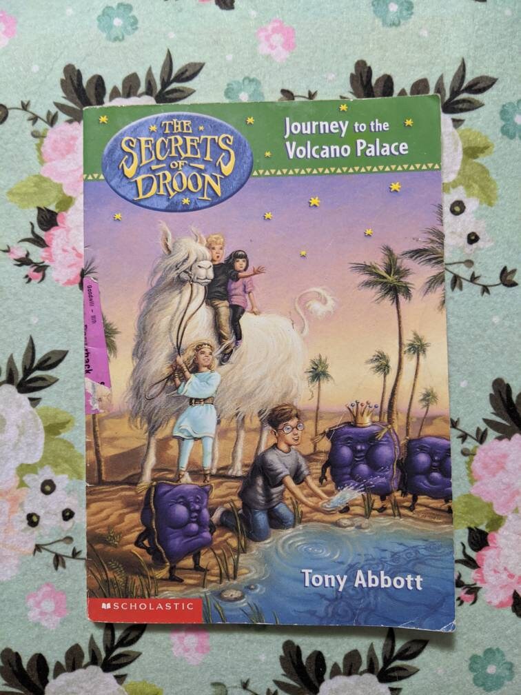 Secrets of Droon Books Tony Abbott - Etsy