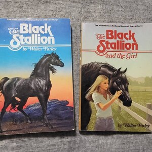The Black Stallion Books - You Choose - Etsy