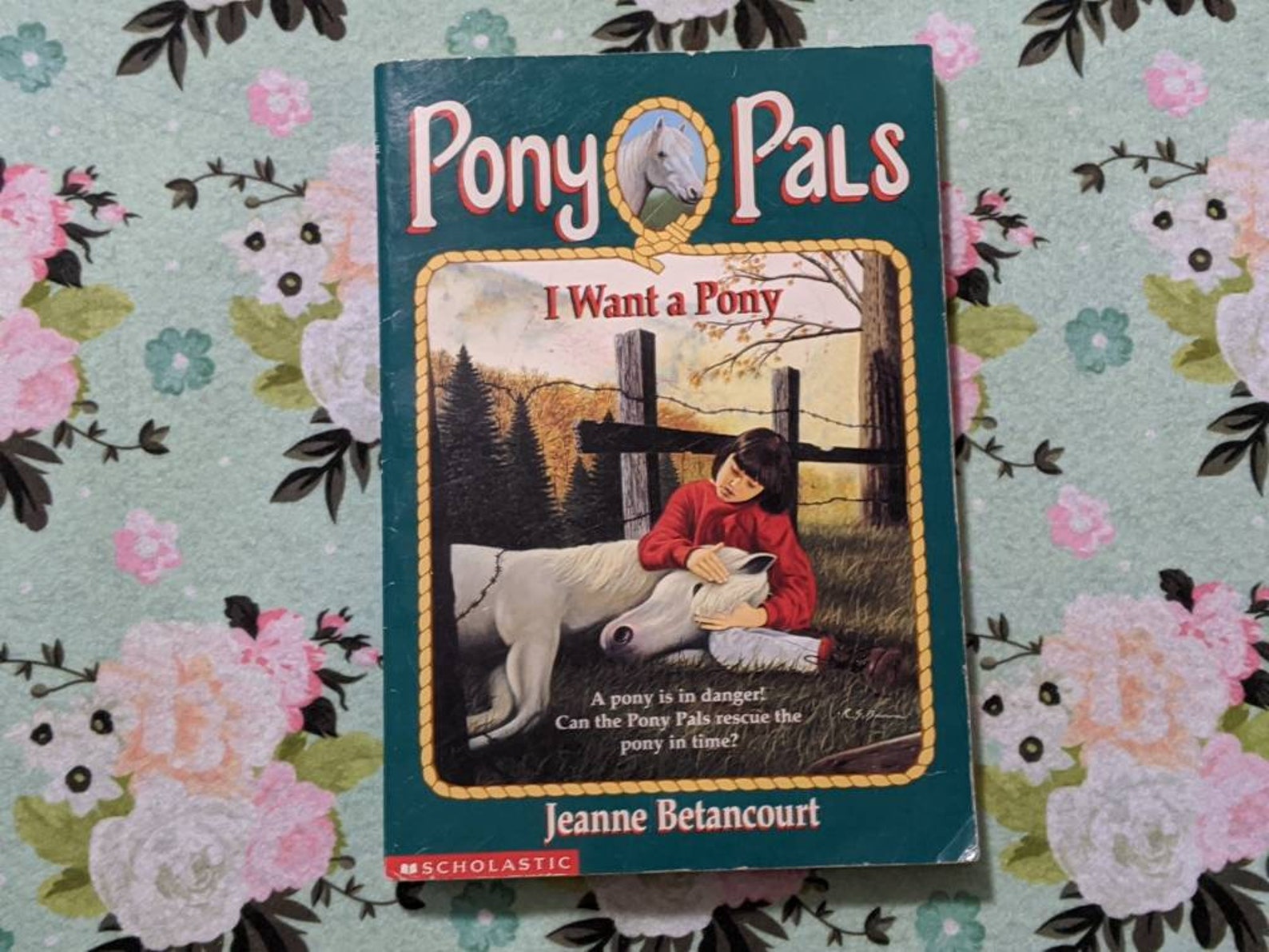 Pony Pals Books You Choose - Etsy
