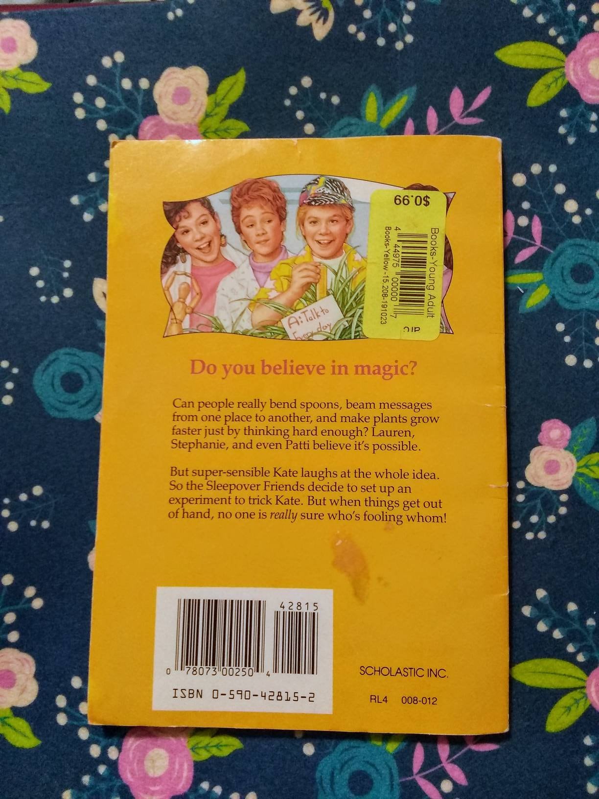 Sleepover Friends Books 80s/90s Series - You Choose - Etsy