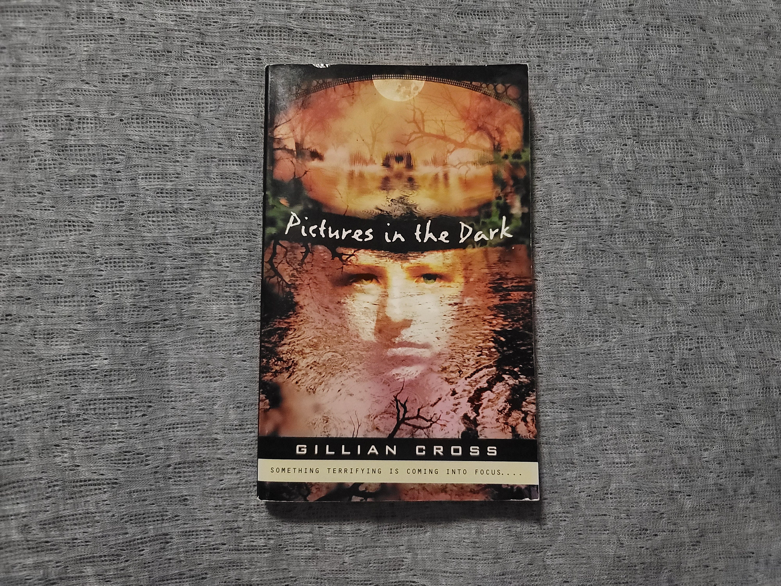 Pictures in the Dark Gillian Cross - Etsy
