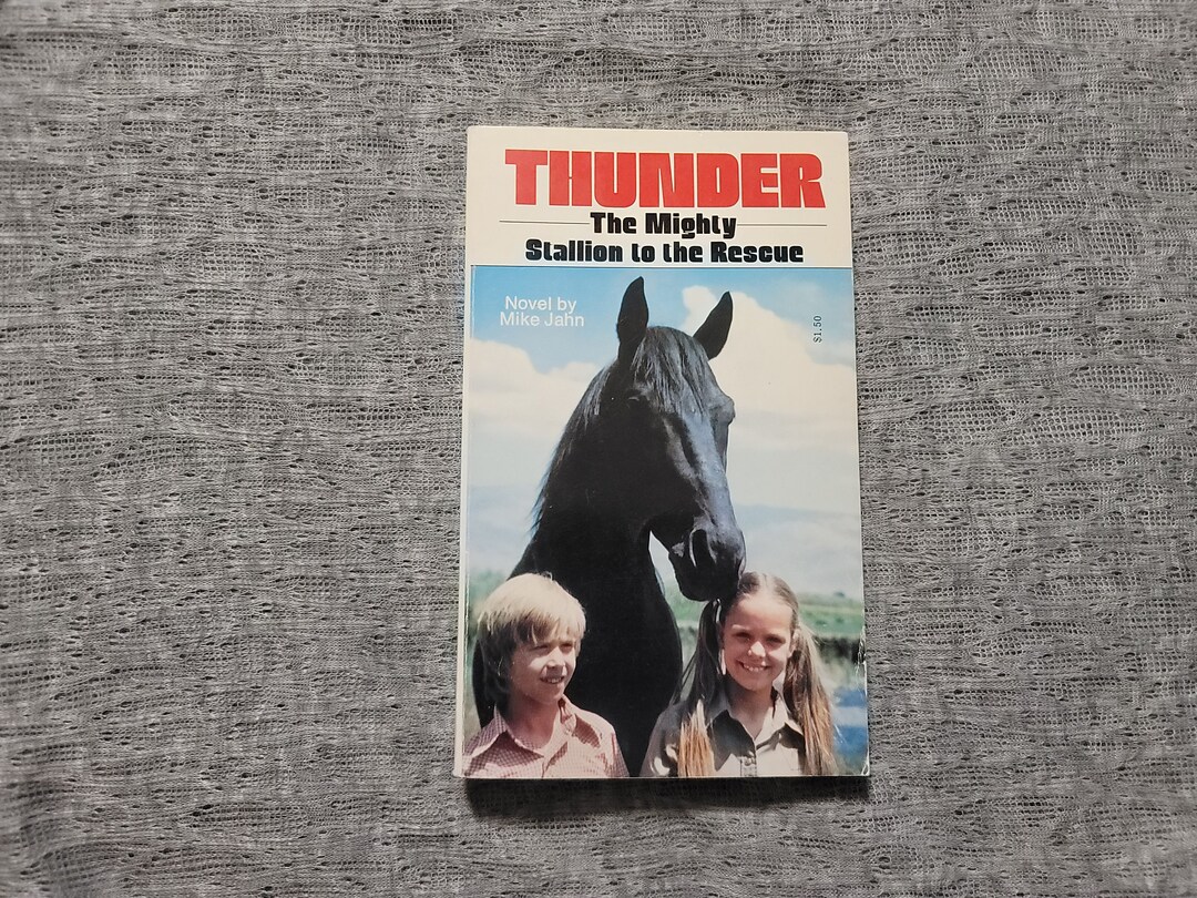 Thunder the Mighty Stallion to the Rescue - Mike Jahn - Etsy