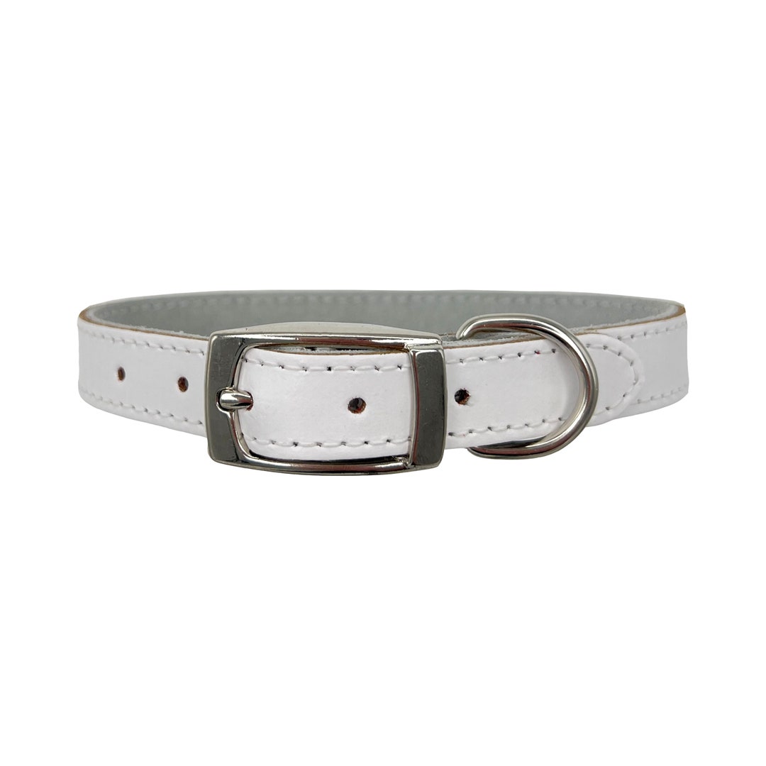 White Dog Collar, Soft Leather Dog Collar, Durable Dog Collar, Female ...