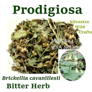 Prodijiosa Prodigiosa Brickellia Cavanillesii 1/2 Oz 4 Oz 3 Lbs 10 Lbs ...