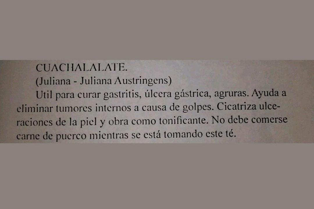 Cuachalalate Seca Palo Amphipterygium Adstringens MOLIDO 1 Oz 4oz ...