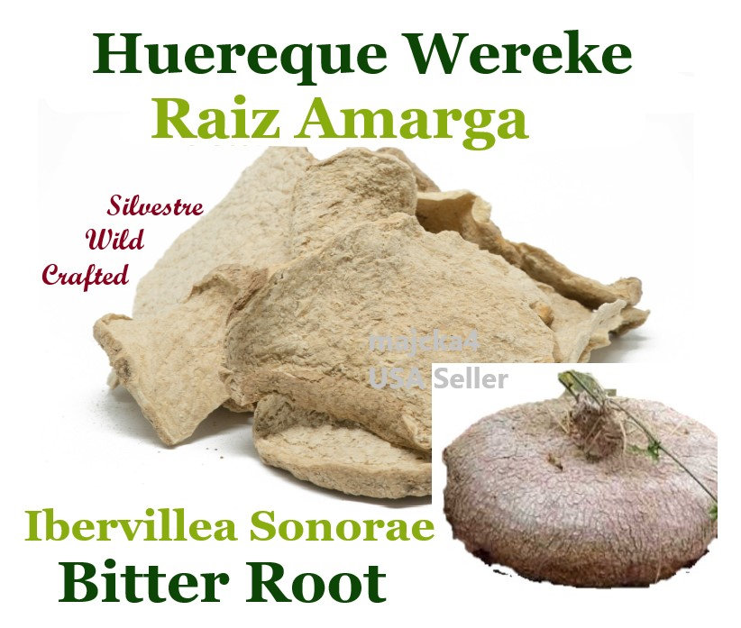 Huereque Ibervillea Sonorae Hierbas Amarga Wereke Bitter Herbs - Etsy