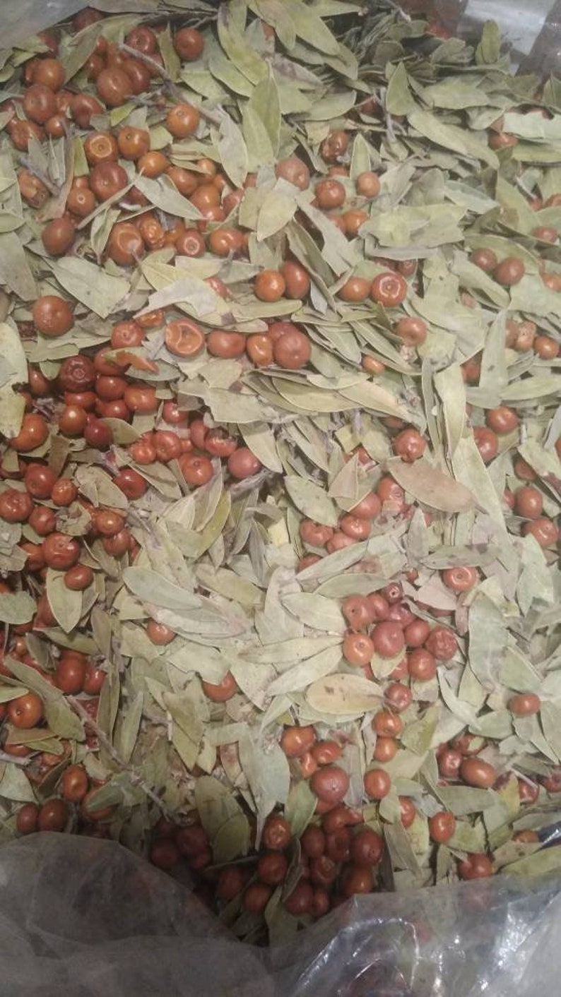Pinguica Fruta Fruto Uva Ursi Fruit Bearberry 1 oz 7 oz 3 lbs | Etsy