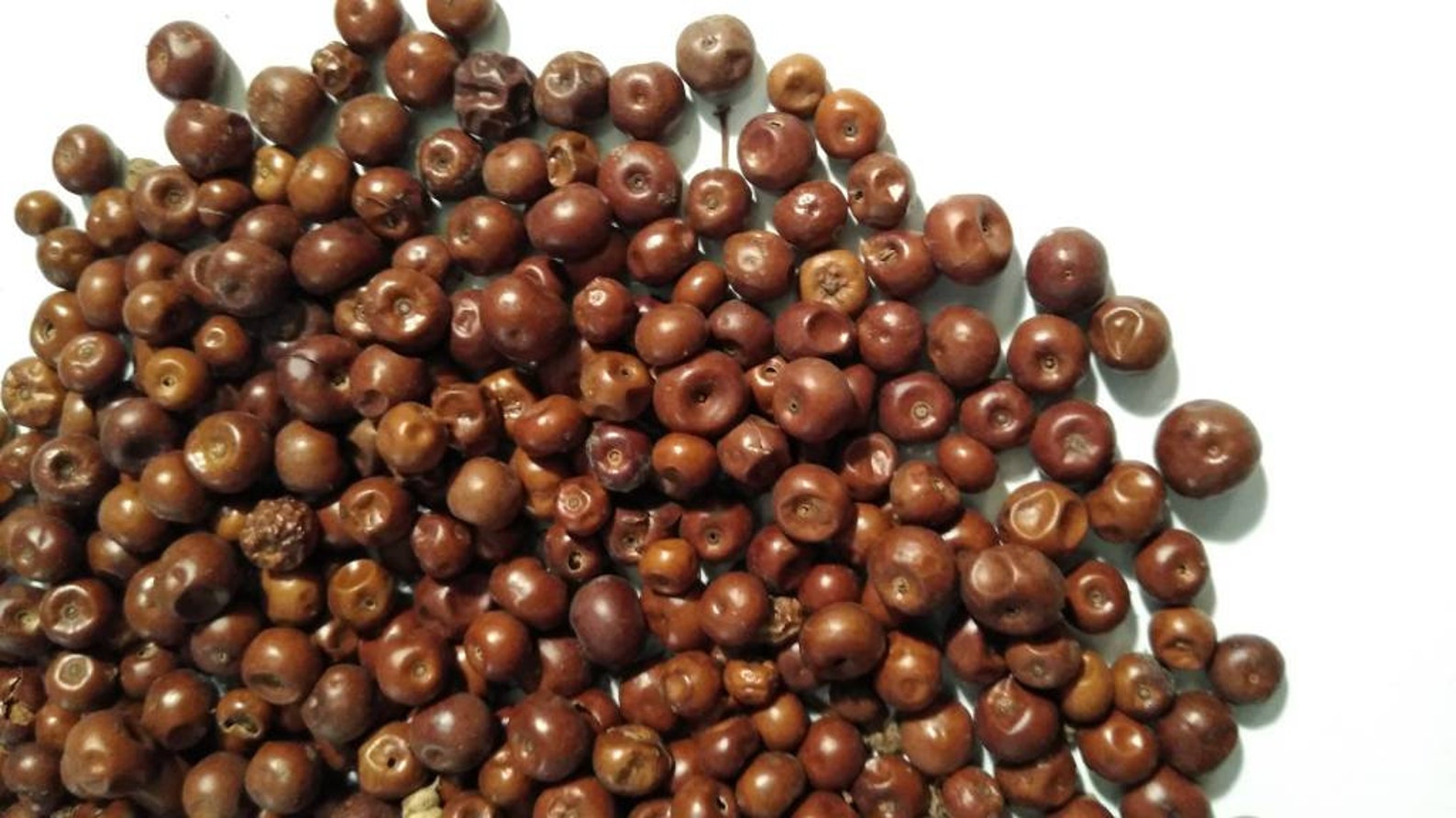 Pinguica Fruta Fruto Uva Ursi Fruit Bearberry 1 oz 7 oz 3 lbs | Etsy