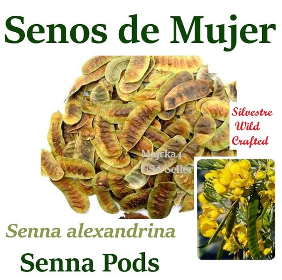 Senos De Mujer Hierbas Sennapods Senna Alexandrina Herbal Teas - Etsy