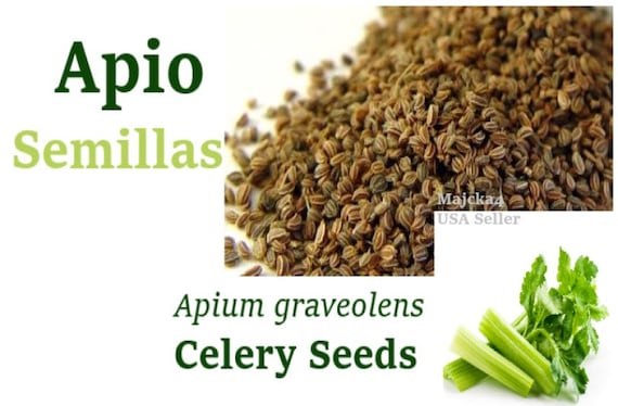 Semillas De APIO Apium Graveolens 8 Oz Hierbas CELERY Seeds 8 - Etsy