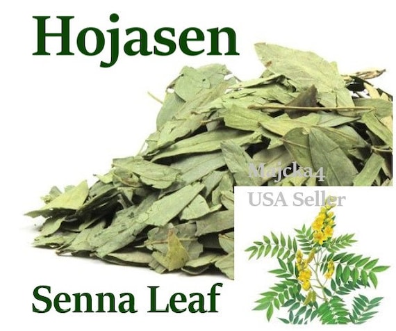 Hojasen Hoja Sen 4 Oz. Hierbas Senna Leaf Senna Alexandrina | Etsy