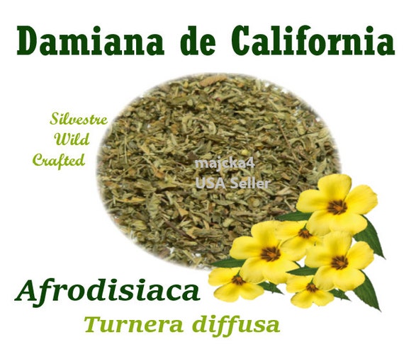 Damiana De California Turnera Diffusa Aphrodisiaca Aphrodisiac | Etsy