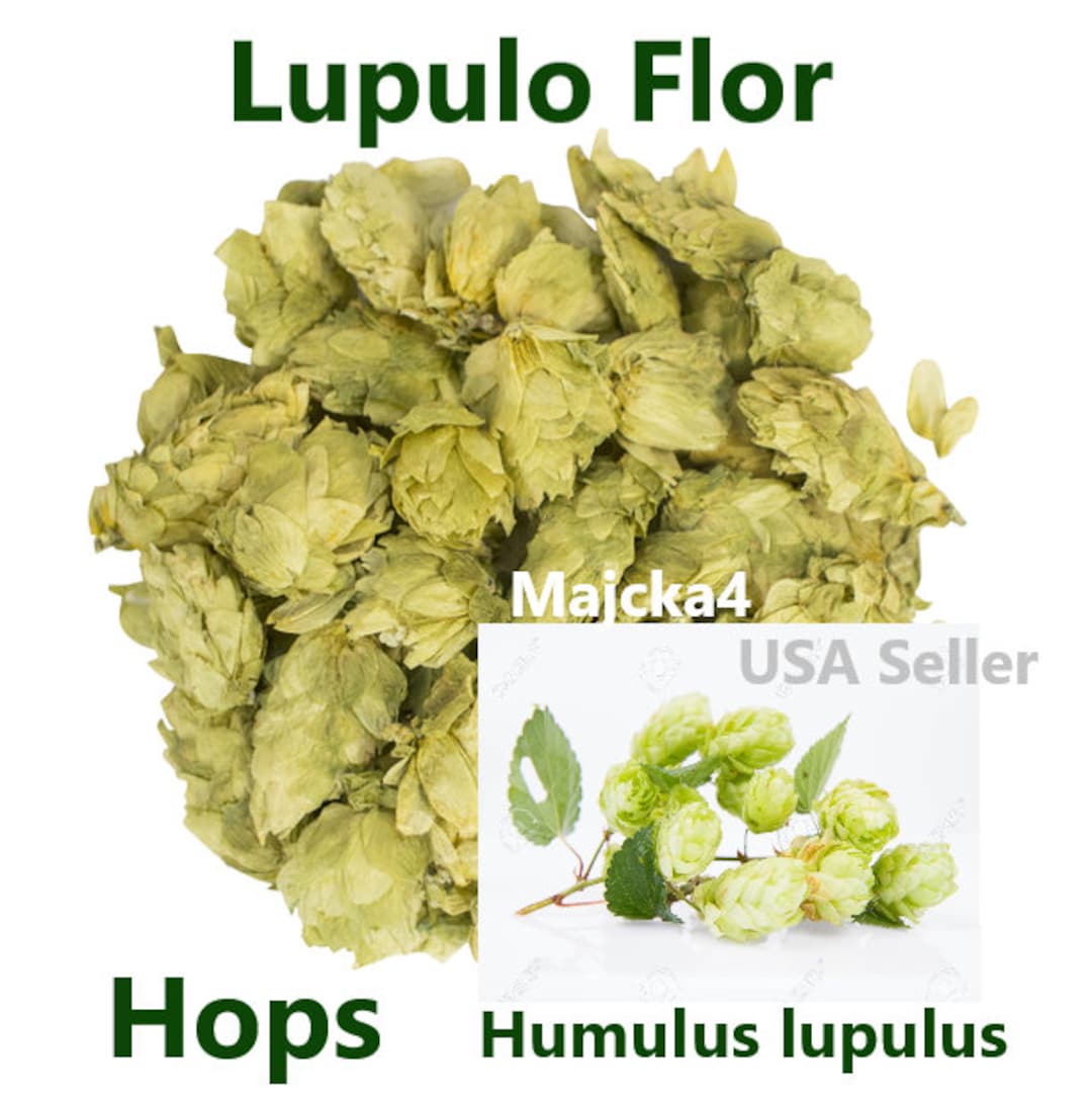 Lupulo 2 Oz Valeriana Hierbas Mexicanas Hops Flower Humulus Lupulus 2 ...