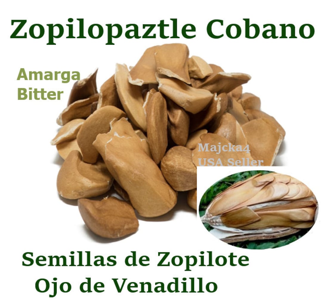 Zopilopaztle Zopilopastle Ojo De Venadillo Semillas De Zopilote Cobano ...