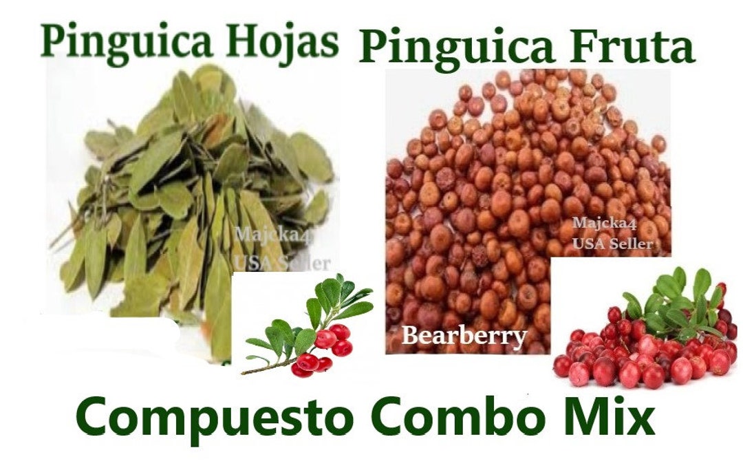 Pinguica Fruta Fruto Uva Ursi Fruit Bearberry - Etsy