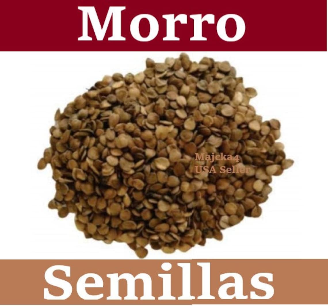 Morro SEMILLAS 7 Oz Bebidas Horchata Morro Semillas - Etsy