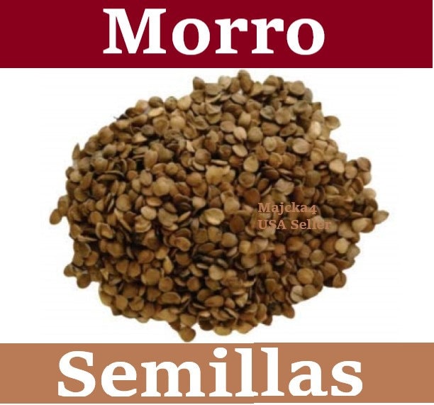 Semilla De Morro