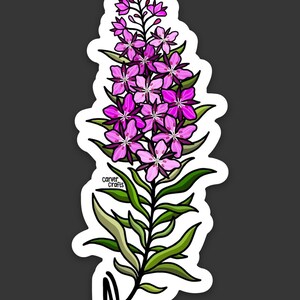 AK Fireweed Sticker - Etsy