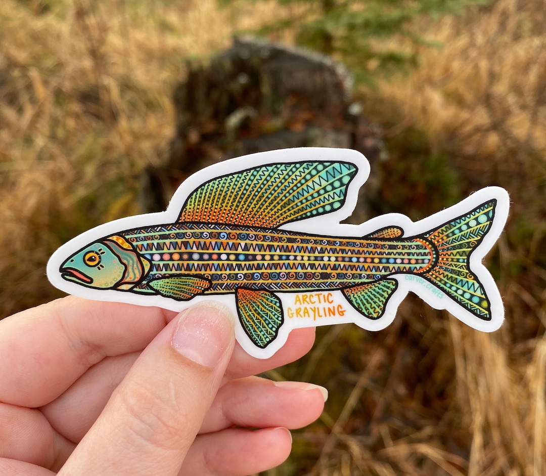Arctic Grayling Sticker - Etsy